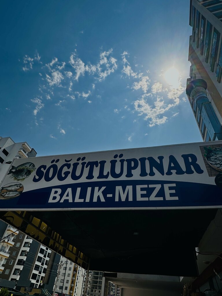 Kafe Söğütlupınar, Mersin, foto