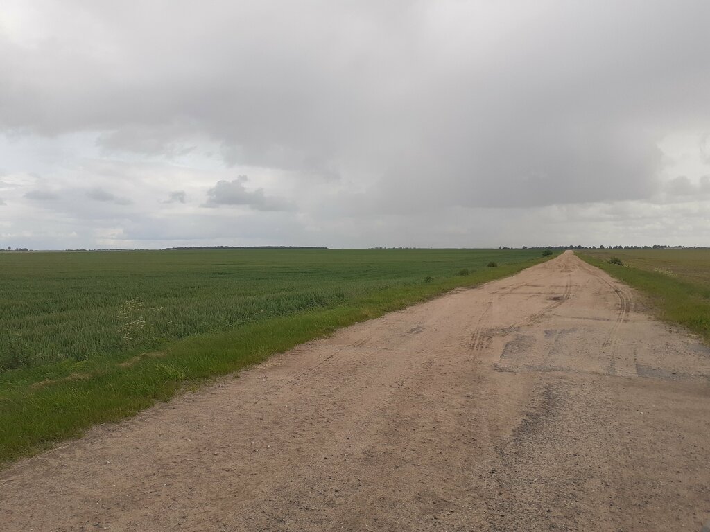 Dağ zirvesi Гара Лысая 170 метраў, Minskaya oblastı, foto