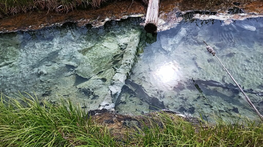 Pınar, çay Spring, stream, Vologodskaya oblastı, foto