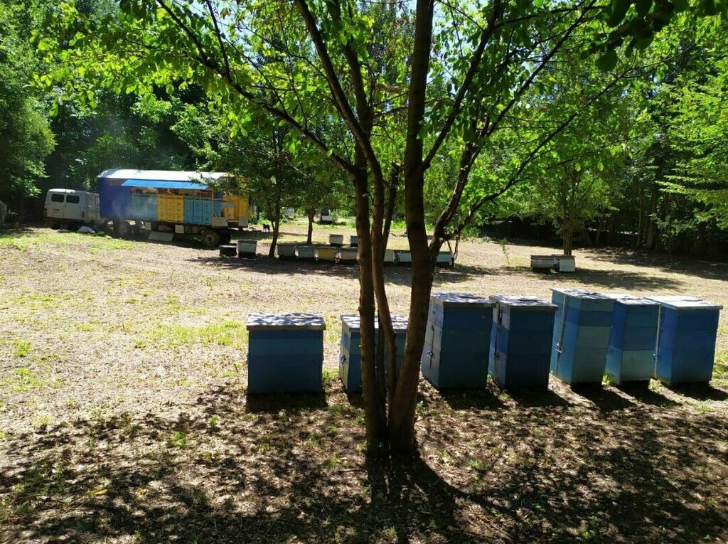 Bal ve arıcılık firmaları Мёд собственной пасеки, Krasnodarski krayı, foto