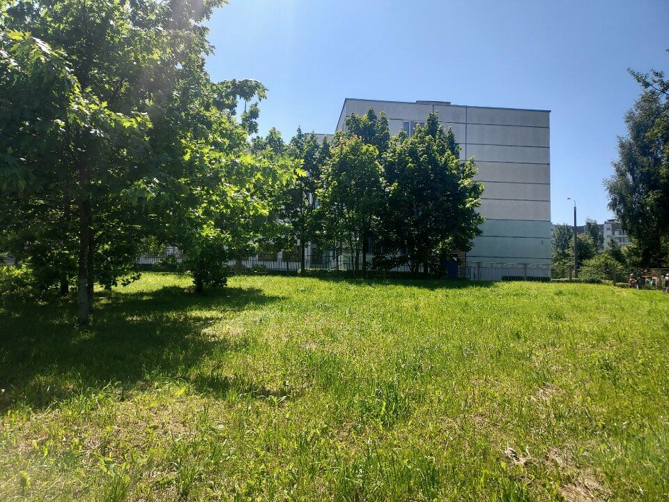 Kurs Red education, Minsk, foto