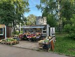 Овощи и фрукты (улица Павла Корчагина No:215Б, микрорайон Коминтерновский), manavlar  Kirov'dan