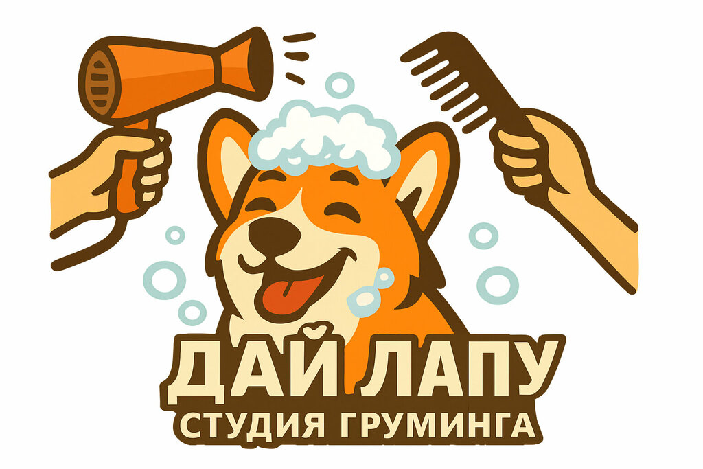 Evcil hayvan kuaförleri Дай лапу, Vitebsk, foto