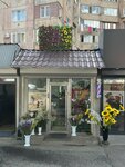 Lia Flowers (Moldovakan Street No:1/2), çiçekçiler  Erivan'dan
