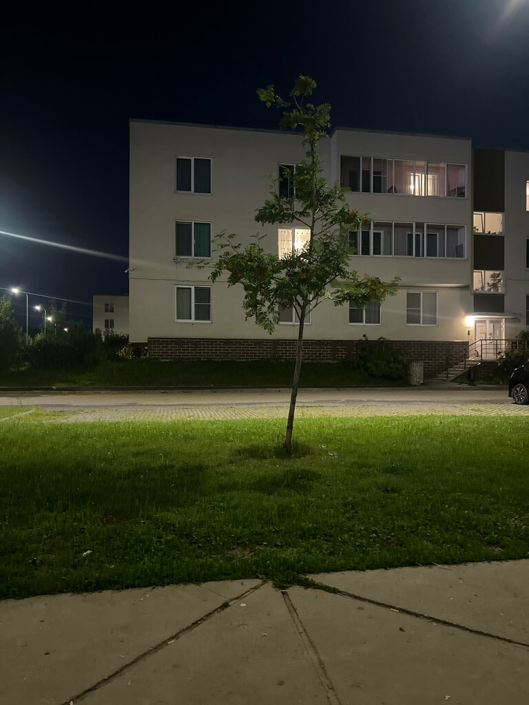 Anıt, heykel Ștefan cel Mare și Sfânt, Beltsi, foto