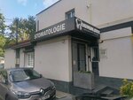 Luxadal Dent Srl (Hristo Botev Street No:27), özel ağız ve diş sağlığı klinikleri ve muayenehaneleri  Kişinev'den