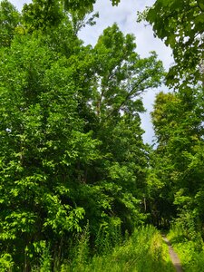 парк Берёзки (Pskov, park Beryozki), kültür ve eğlence parkları  Pskov'dan