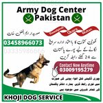 Army Dog Center Rawalpindi (No:C59A, Satellite Town, C Block), dedektiflik büroları  Rawalpindi'den
