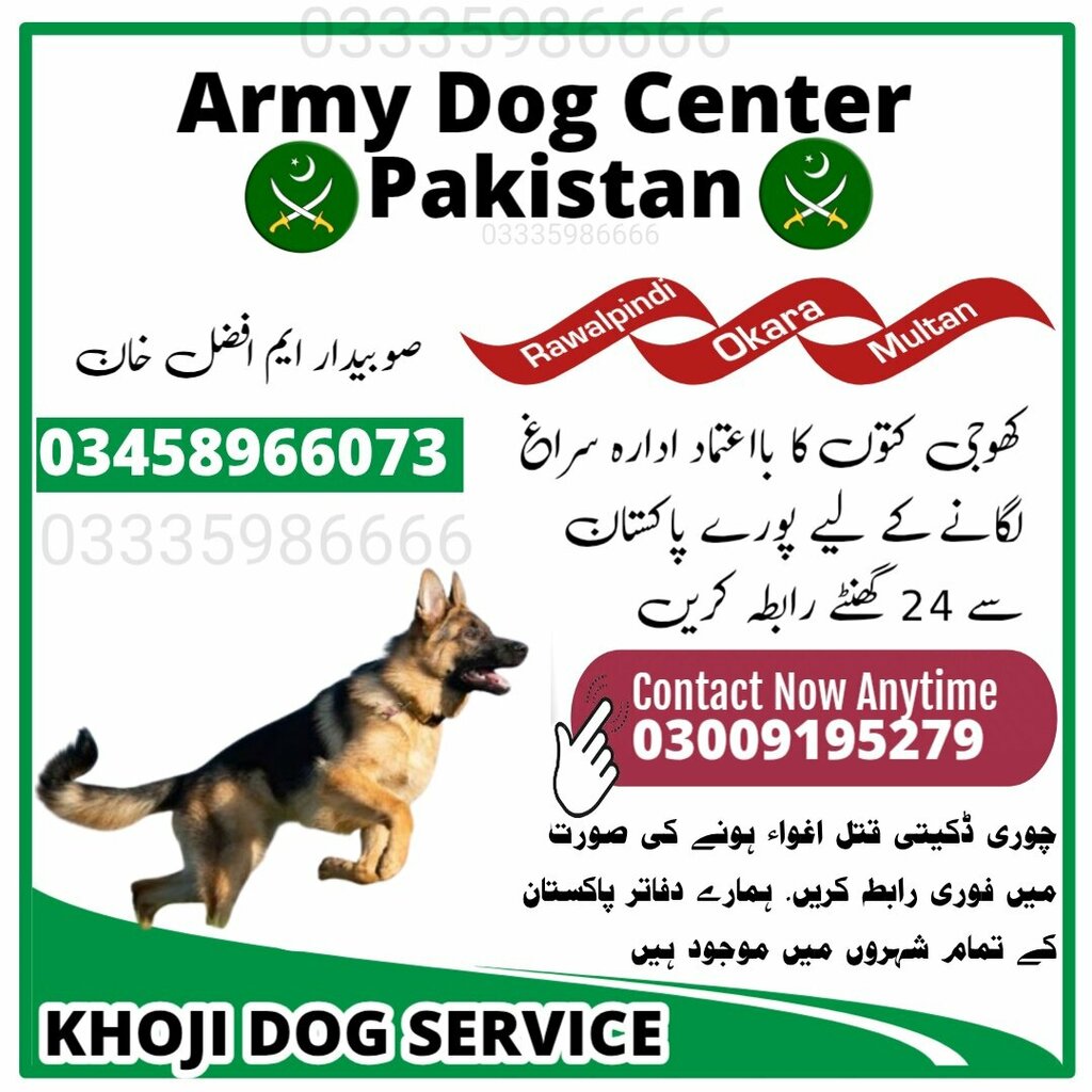 Dedektiflik büroları Army Dog Center Rawalpindi, Rawalpindi, foto