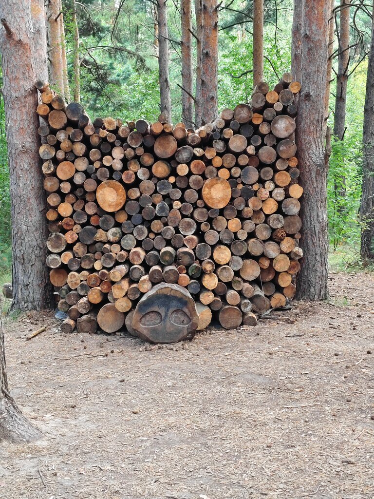 Park, sokak heykeli Кабан, Tiumen, foto