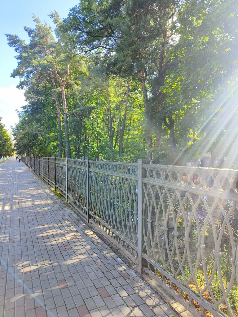 Mezarlıklar Minskija mogilki, siektar 1, Bobruisk, foto