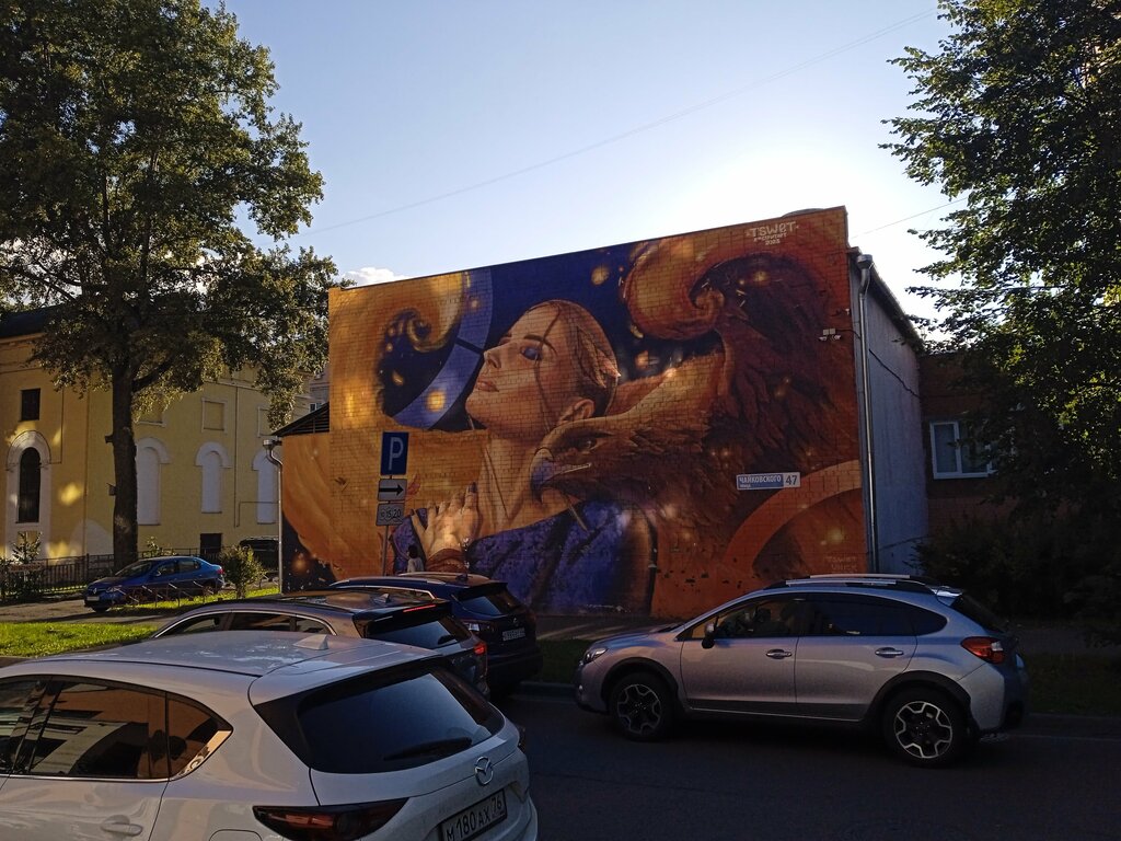 Sokak sanatı Мурал Девушка и ястреб, Yaroslavl, foto