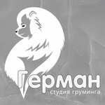 Герман (ulitsa Voroshilova No:7), evcil hayvan kuaförleri  Kemerovo'dan
