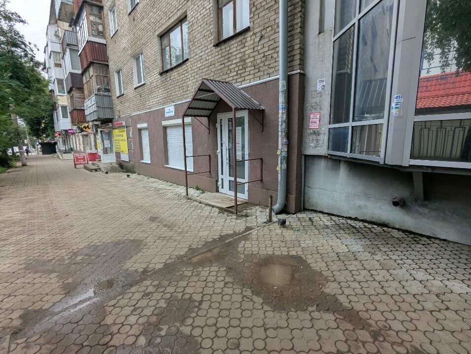 Sivil toplum kuruluşları Позитивная среда, Ufa, foto