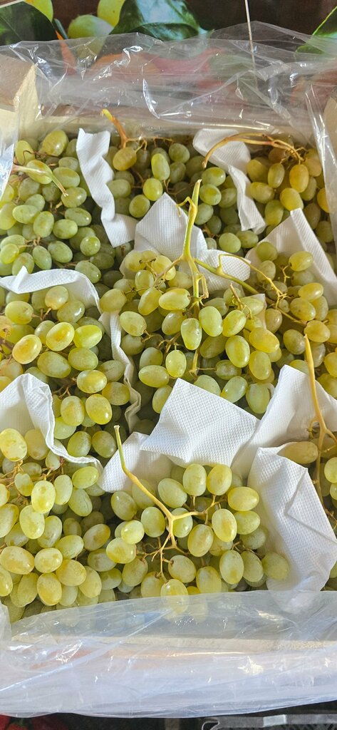 Kuruyemiş, atıştırmalık, kuru meyve Сухофрукты, Solikamsk, foto