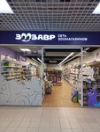 Зоозавр (Gagarina Street No:99А), petshop  Saransk'tan