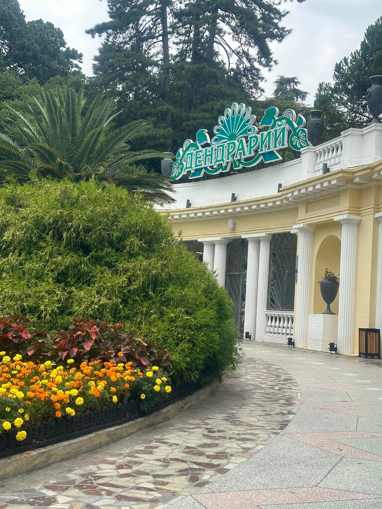Doğa koruma alanı Sochi National Park Arboretum, Soçi, foto