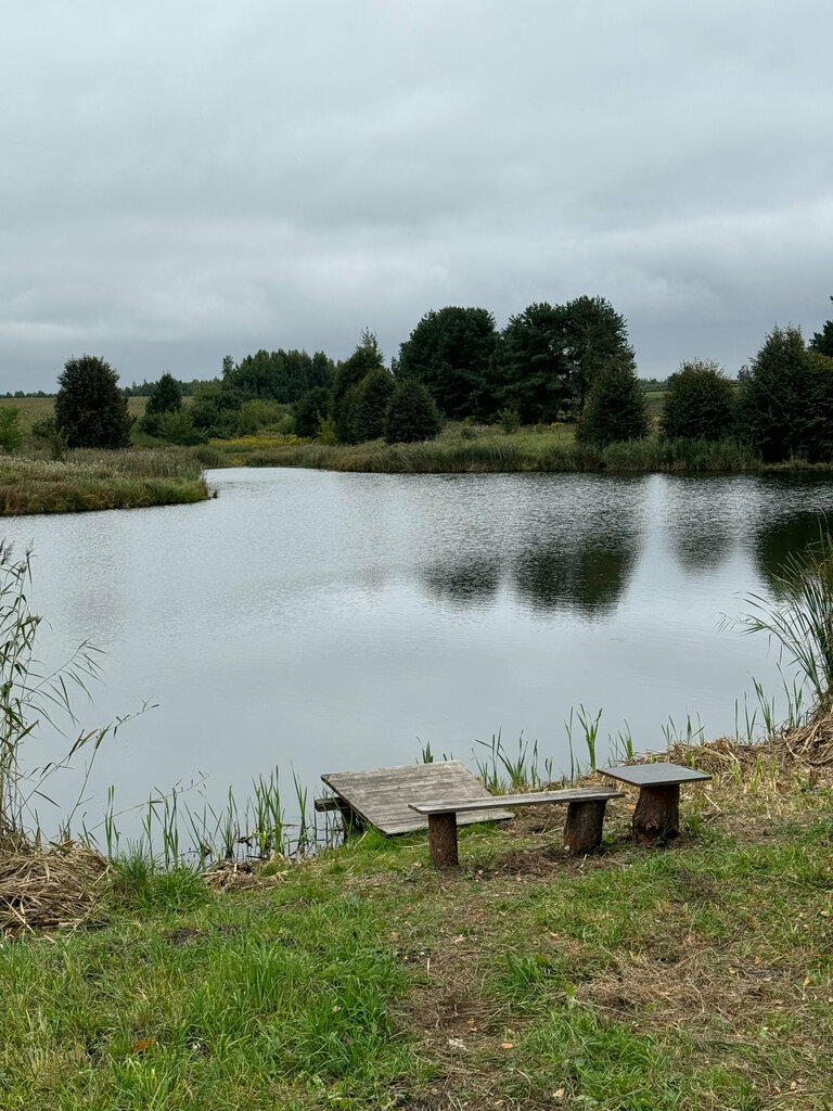 Plaj Пляж, Orlovskaya oblastı, foto