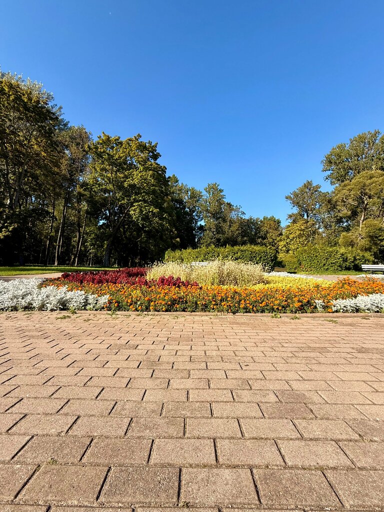 Bank Bench, Zelenogorsk, foto