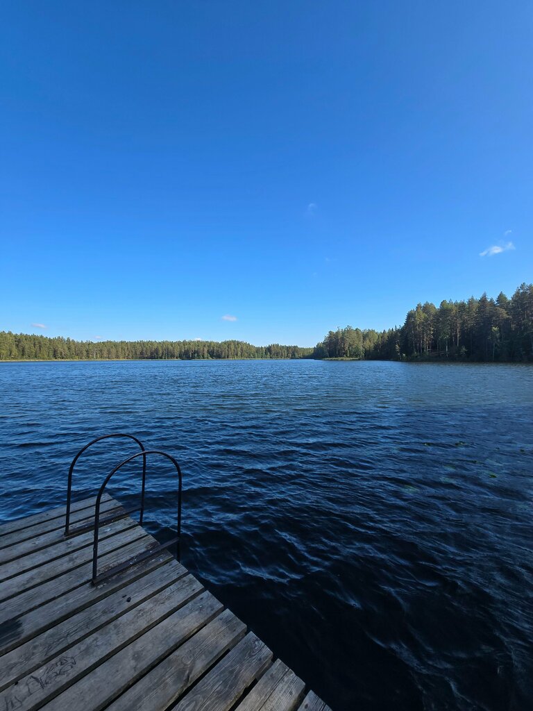 Piknik alanı Место для пикника, Saint‑Petersburg ve Leningradskaya oblastı, foto