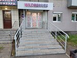 Wildberries (ulitsa Gagarina No:24А), teslimat noktası  Çeliabinsk'ten