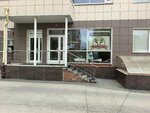 Сибирь (No:116, rabochiy posyolok Krasnoobsk), spor kulüpleri  Novosibirskaya oblastından