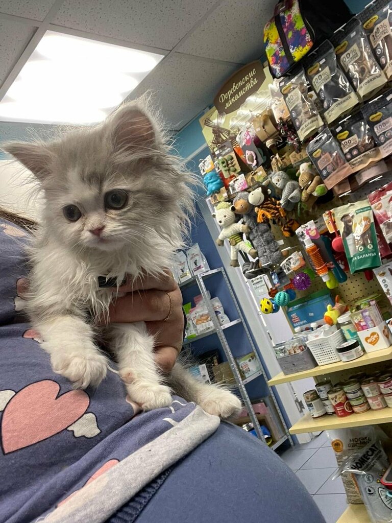 Petshop ЛилаЗоо, Murino, foto