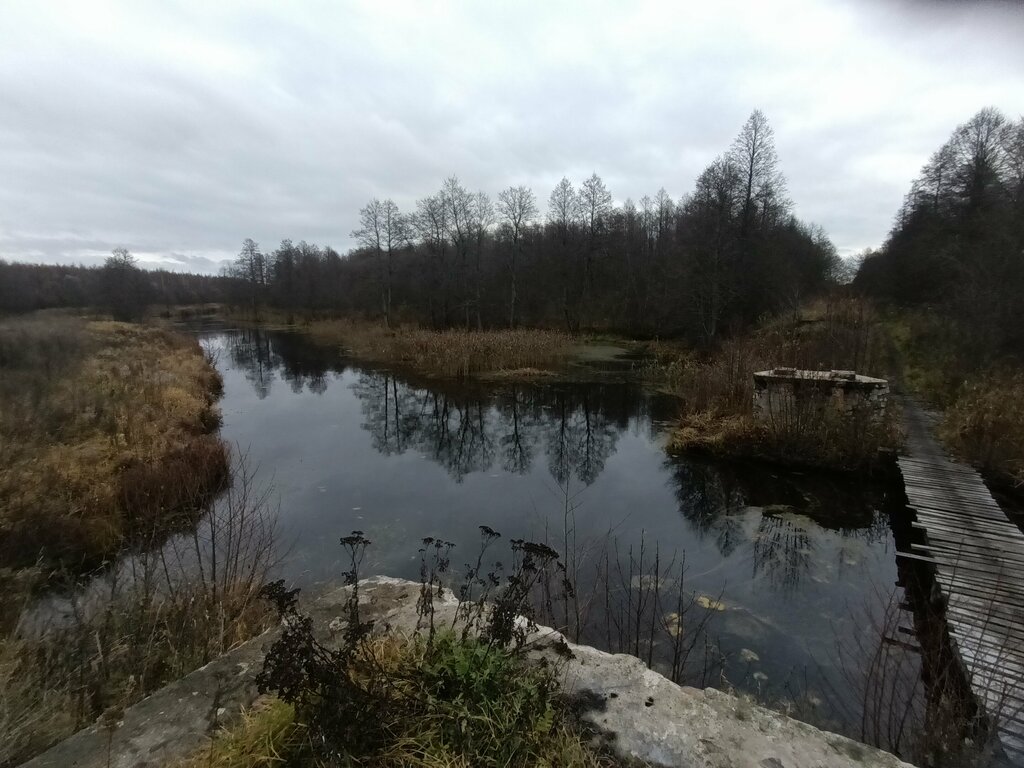 Turistik yerler Мост узкоколейной железной дороги, İvanovskaya oblastı, foto