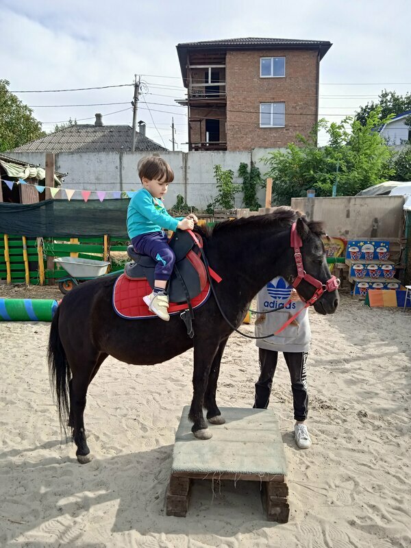 At ve binicilik kulüpleri PoniLend, Rostov‑na‑Donu, foto