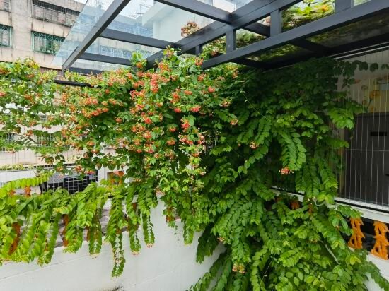 Otel Yali Garden, Chaozhou, foto