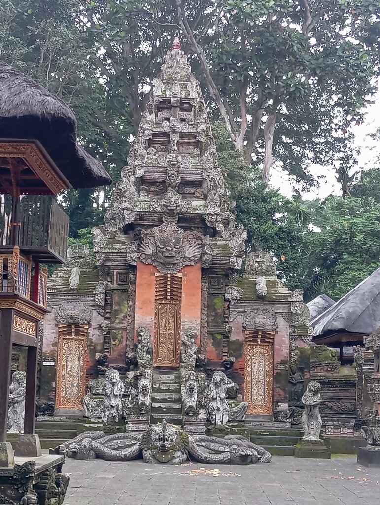 Doğa koruma alanı Ubud Monkey Forest, Bali, foto
