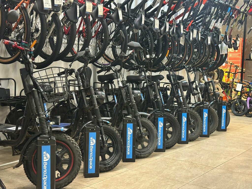 Bisiklet kiralama ЭлектроДрайв, Murino, foto