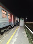 250 км (Penzenskiy Municipal District, Salovskiy selsovet), tren istasyonu  Penzenskaya oblastından