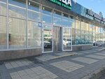 Теплица (ulitsa Generala Trosheva No:1/12), çiçekçiler  Krasnodar'dan
