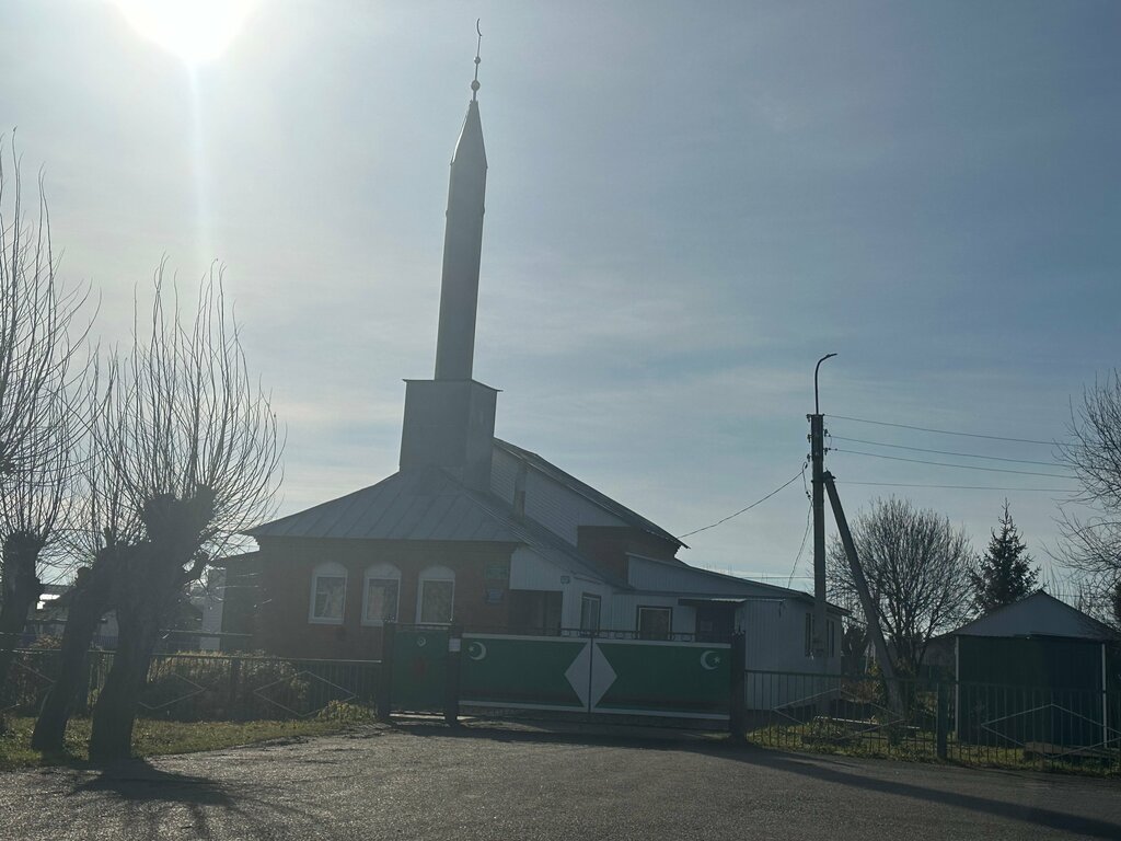 Cami Central spiritual administration of muslims of Russia, Mosque, Başkurdistan, foto