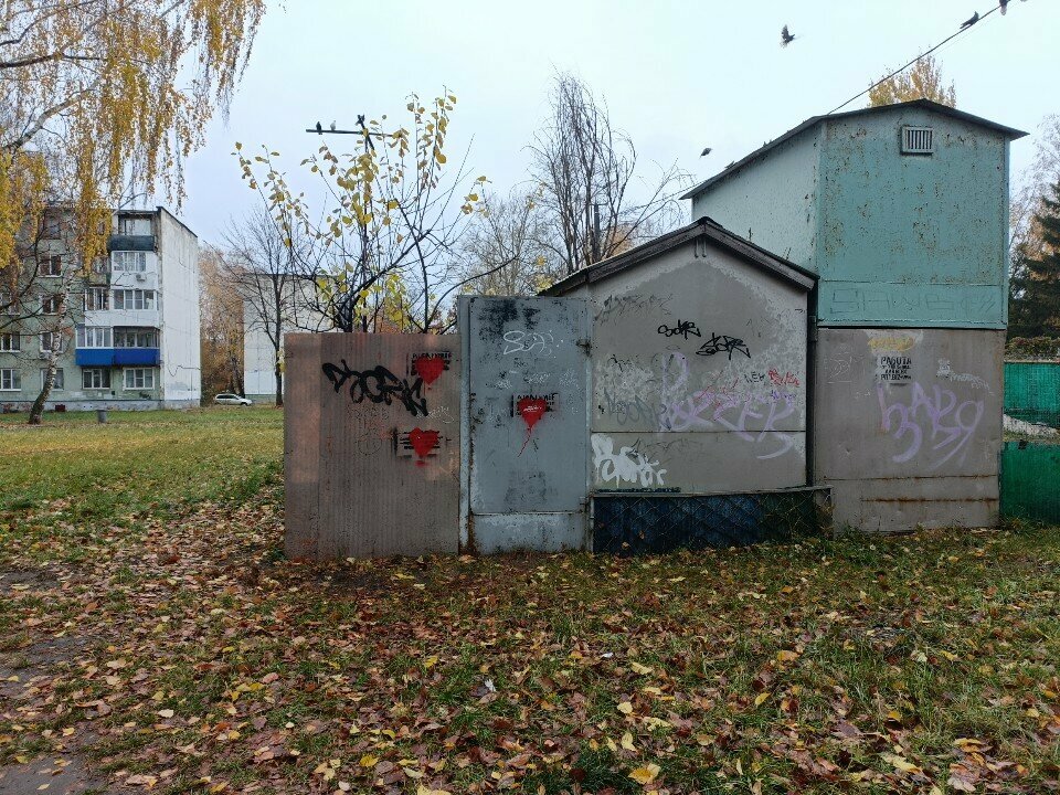 Kuşlar için büyük kafes Aviary , Tolyatti (Togliatti), foto