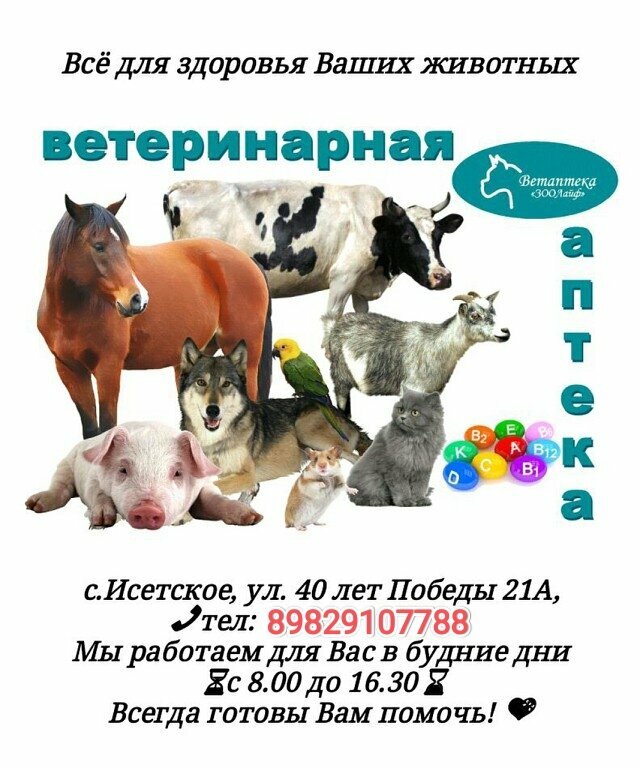 Veteriner eczaneleri ЗООЛайф, Tümen (Tiumenskaya) oblastı, foto