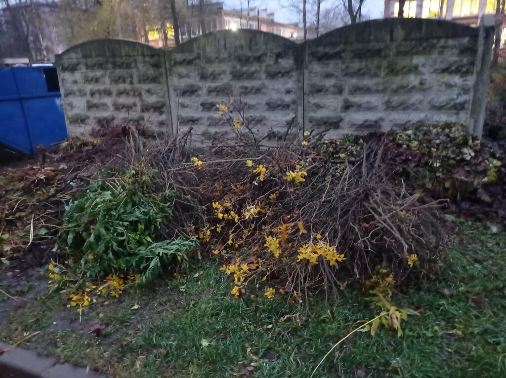 Çöp alanları Trash and garbage disposal area, Peterhof, foto