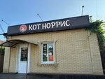 Кот Норрис (Militsionerskaya ulitsa No:52, Kurganinsk), suşi ve asya ürünleri  Kurganinsk'ten