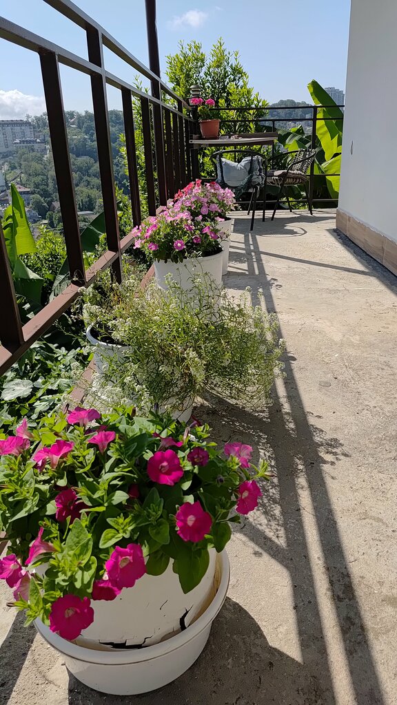 Otel Guest House Panorama, Soçi, foto