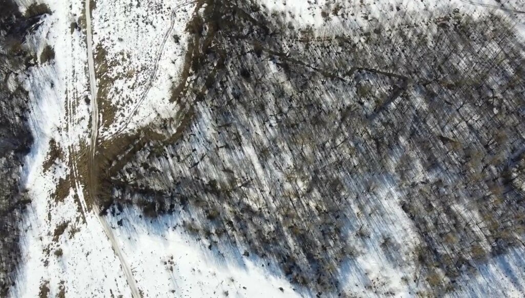 Turistik yerler Земляная крепость XVII века, Smolenskaya oblastı, foto