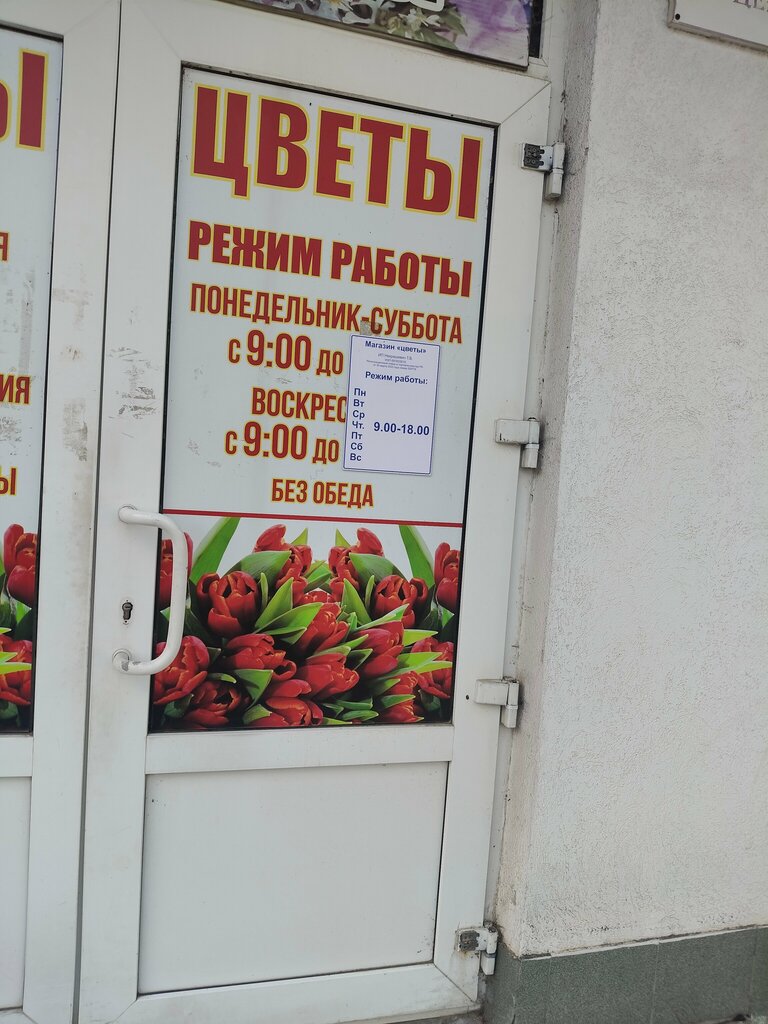 Çiçekçiler Цветы, Minskaya oblastı, foto