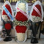 Mimoza Flowers (Düzce, Düzce Merkez, Şerefiye Mah., Necatibey Sok., 22B), çiçekçiler  Düzce'den
