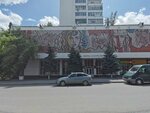 Фаворит (ulitsa Kurchatova No:18Г), spor kulüpleri  Volgograd'dan