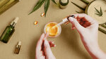 Cbd Oil (İstanbul, Beşiktaş, Gayrettepe Mah., Vefabey Sok., 9), eğitim merkezleri  İstanbul'dan