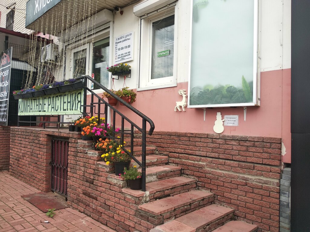 Çiçekçiler Живой Декор, Bor, foto