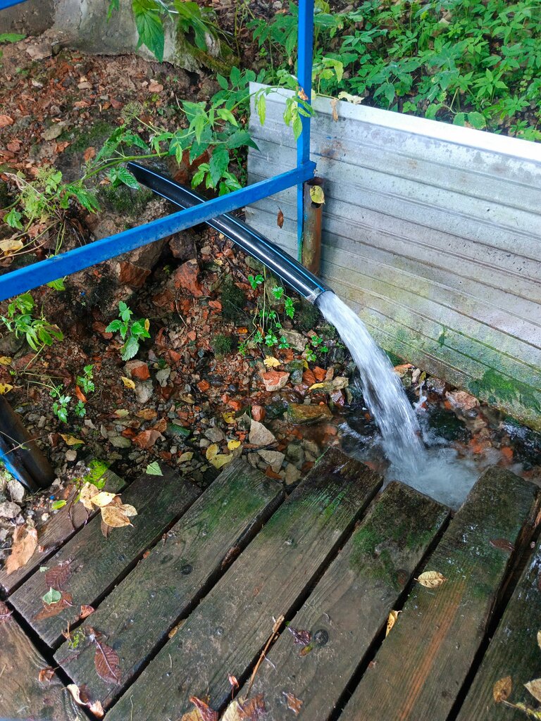 Pınar, çay Spring, stream, Kalujskaya oblastı, foto