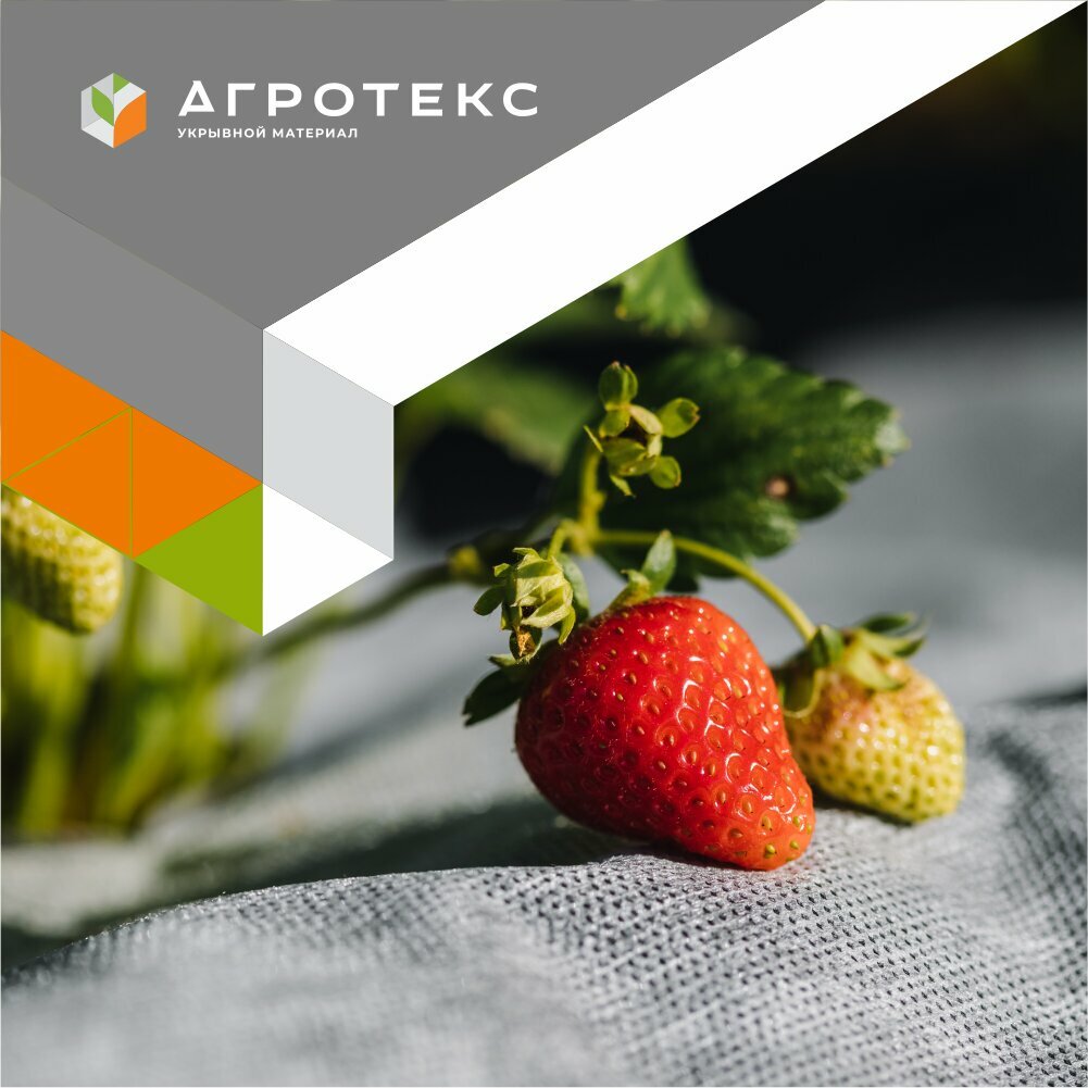 Medikal ürün firmaları Гекса, Yakutsk, foto