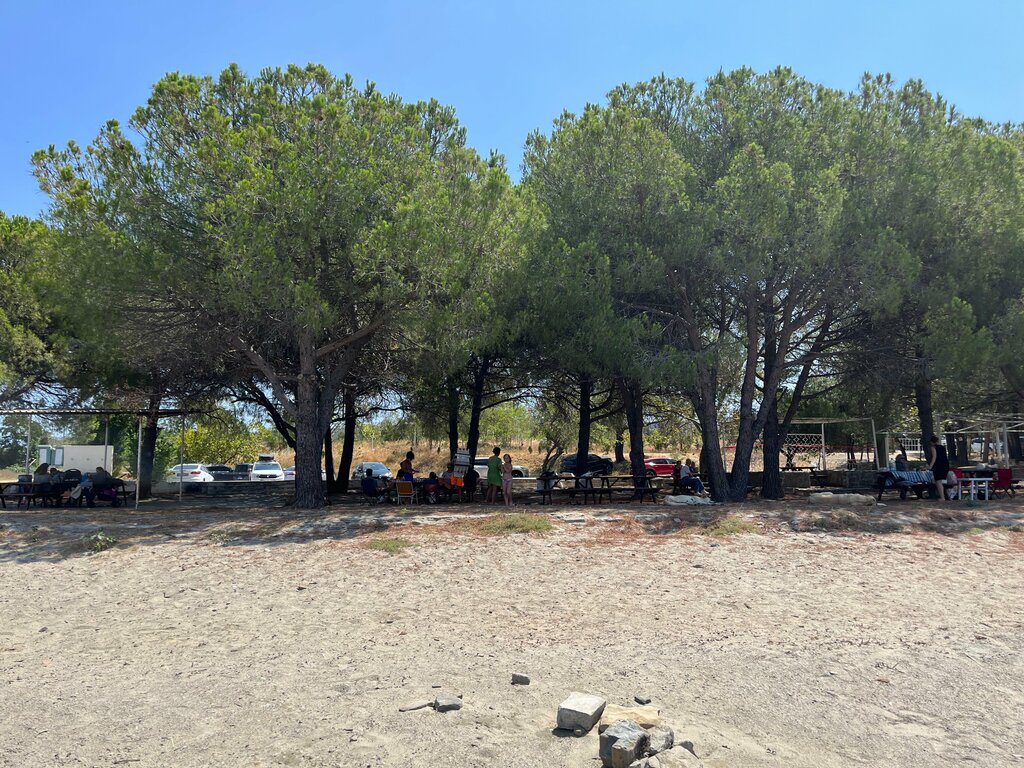 Kafe Saroz Beach, Gelibolu, foto