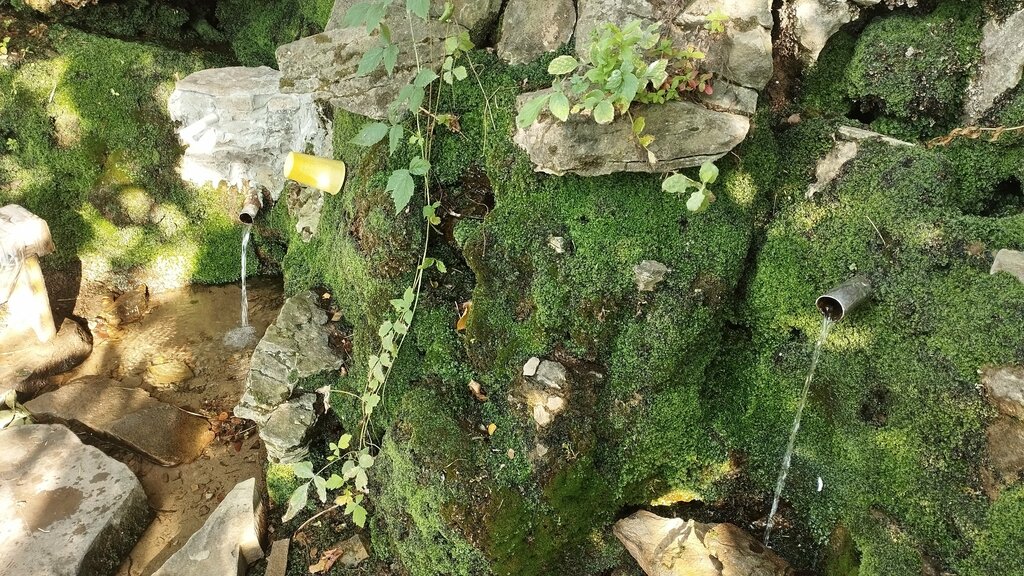 Pınar, çay Spring, stream, Rostovskaya oblastı, foto